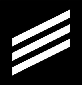 Navy SEAL Ranks - Operation Military Kids