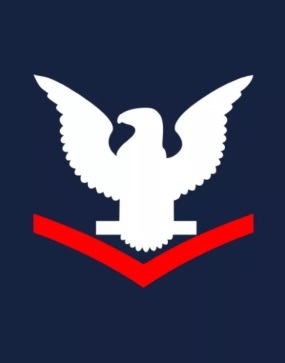 US Navy SEALs Rank Structure, Insignia, And Pay [Updated 2022]