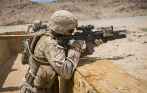 Marine Rifleman (MOS 0311): 2023 Career Details