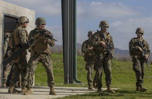 Marine Corps Basic Infantryman (0300 MOS): 2022 Career Details