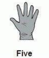 43 Military Hand Signals Explained - Operation Military Kids