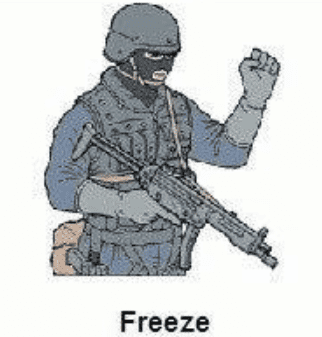 43 Military Hand Signals Explained - Operation Military Kids