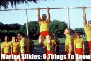 Marine Silkies: 6 Things You Need To Know
