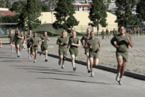 Marine Silkies: 6 Things You Need To Know - Operation Military Kids