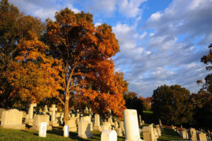 Here’s Why People Put Coins On Military Graves
