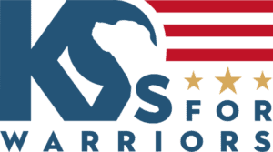 12 Best Veterans Charities In 2023