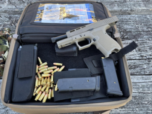 PSA Dagger Review: 4 Pros & Cons About This Pistol